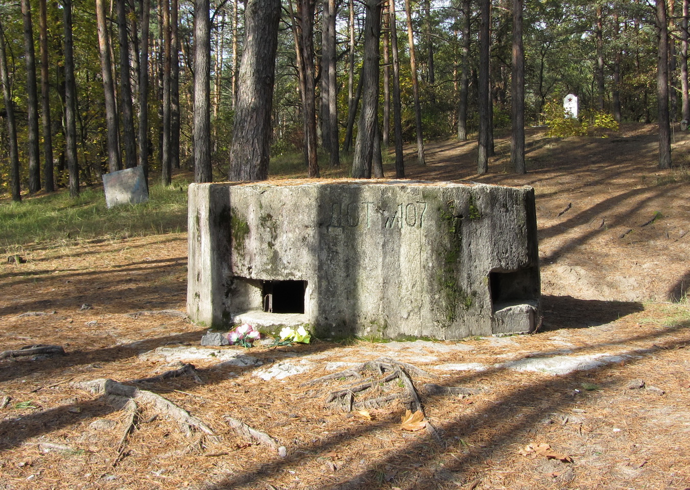 Pillbox 107 - Kyiv