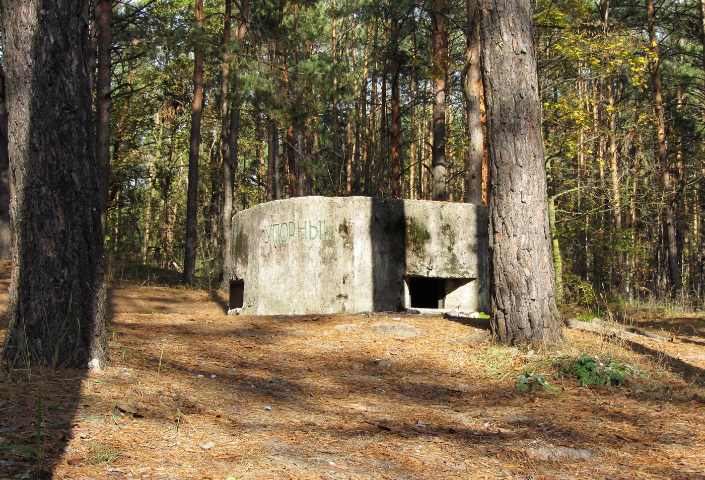 Pillbox 107 - Kyiv