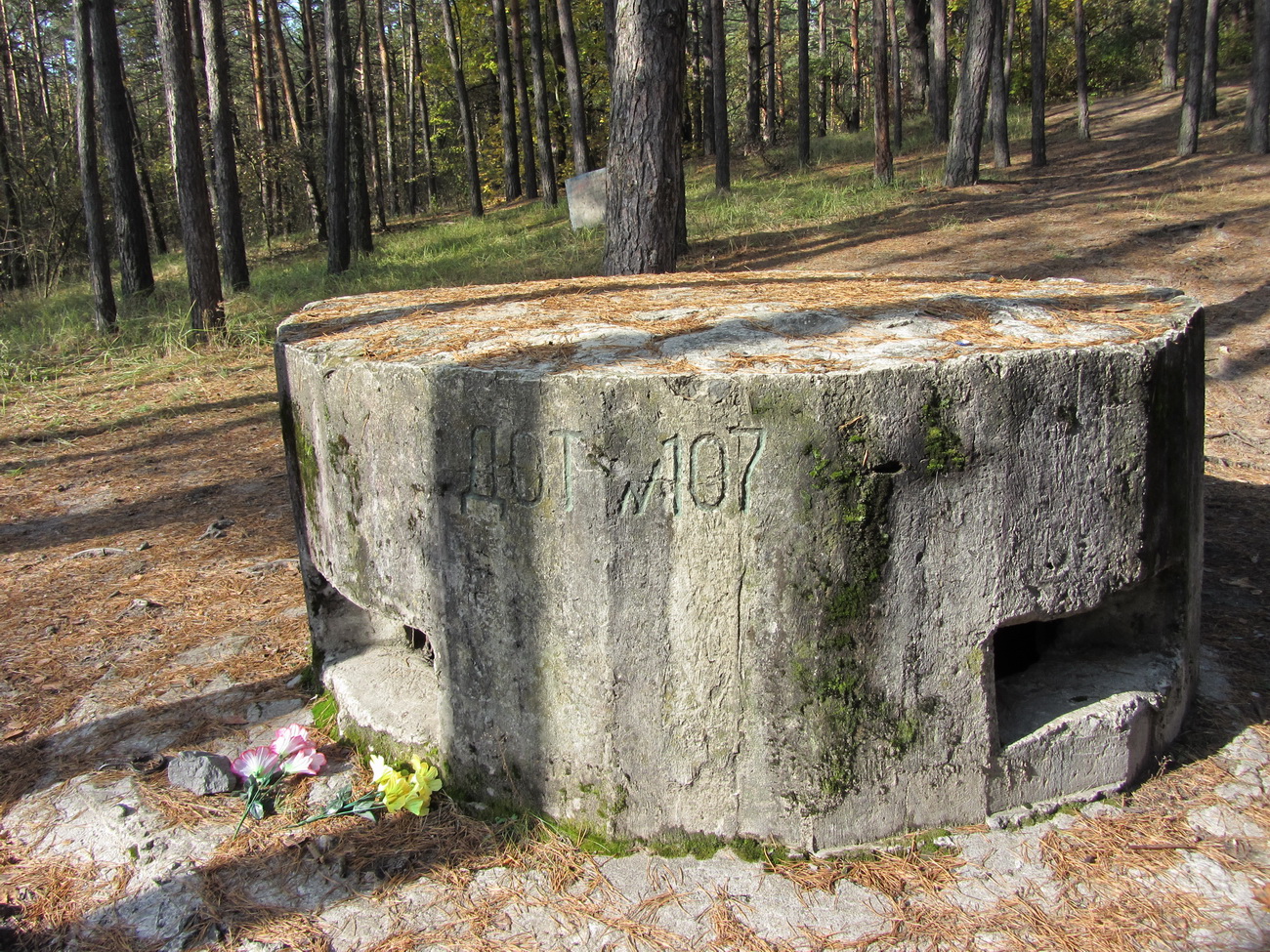 Pillbox 107 - Kyiv