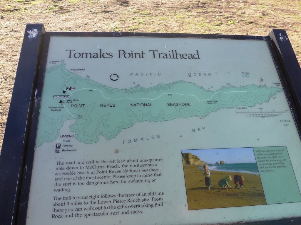 Tomales Point Trailhead