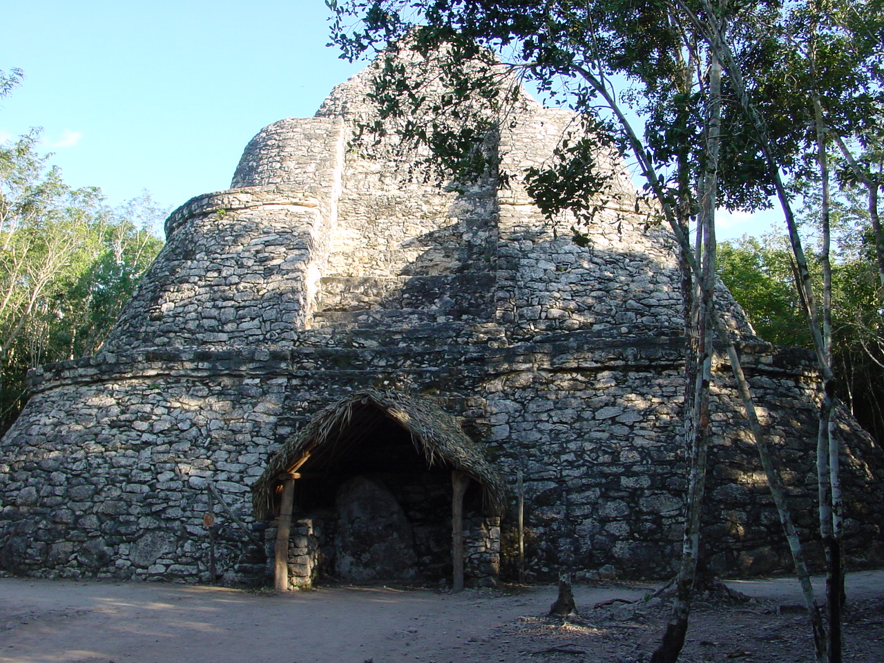 Cobá