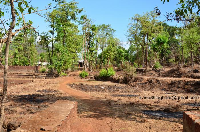 Sarani Aravali - Aaravli