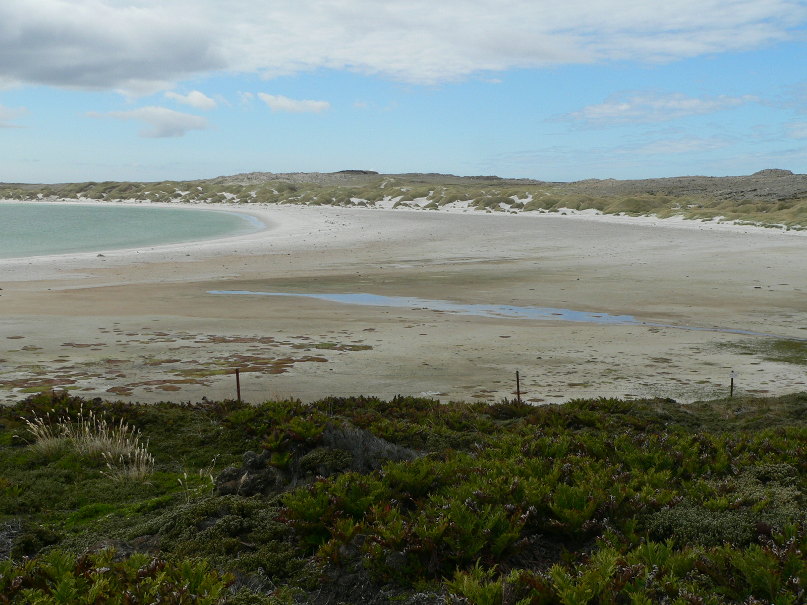 Surf Bay
