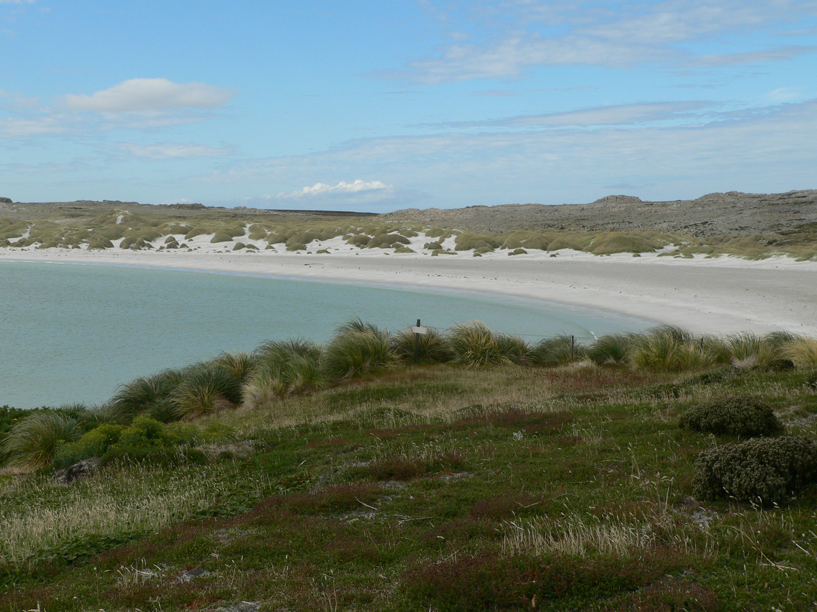 Surf Bay