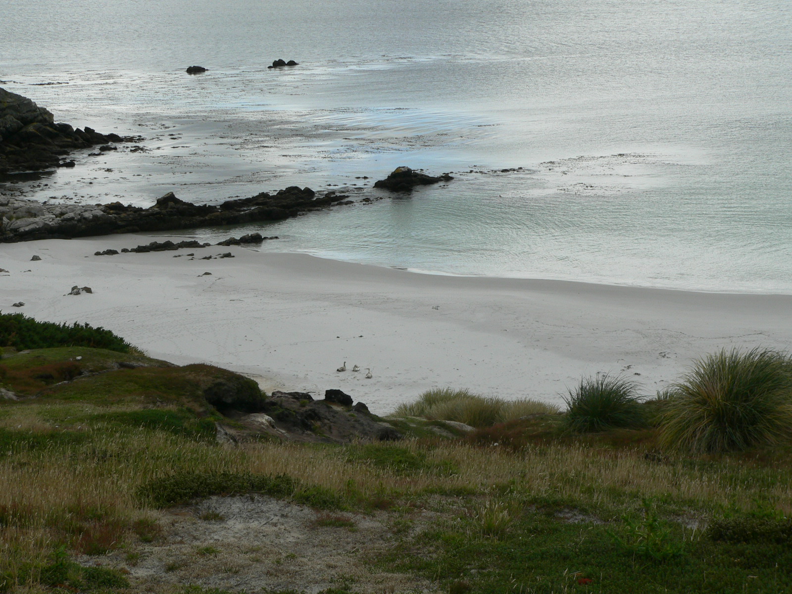 Surf Bay