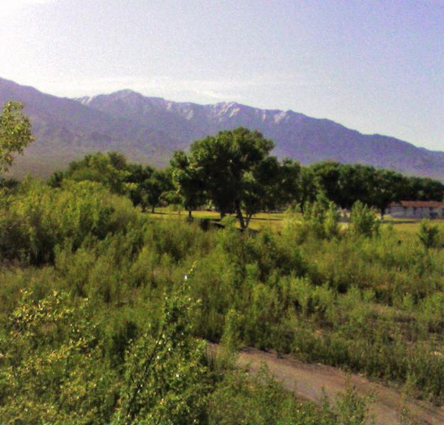 Littlefield, Arizona - Desert Springs