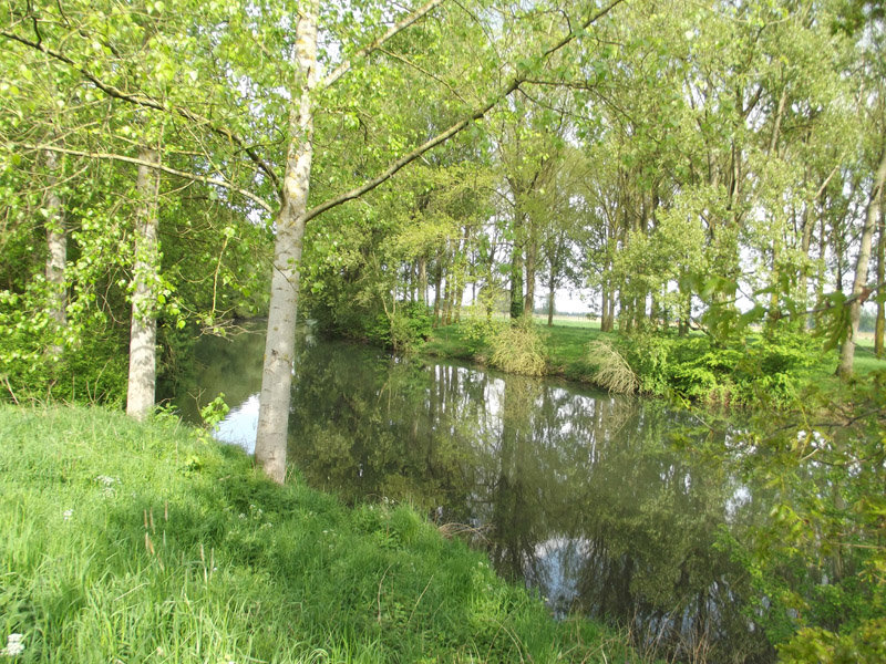 Cut-off meander of the River Maas - Stokkem