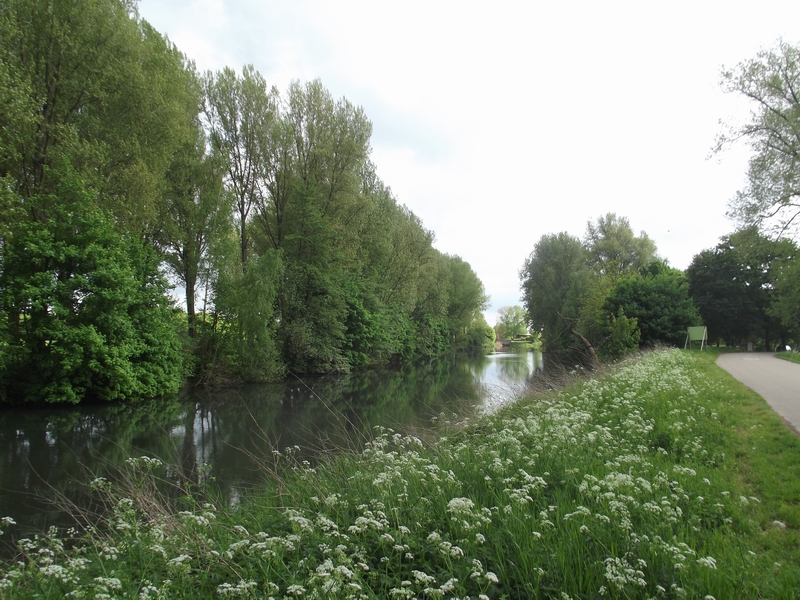 Cut-off meander of the River Maas - Stokkem