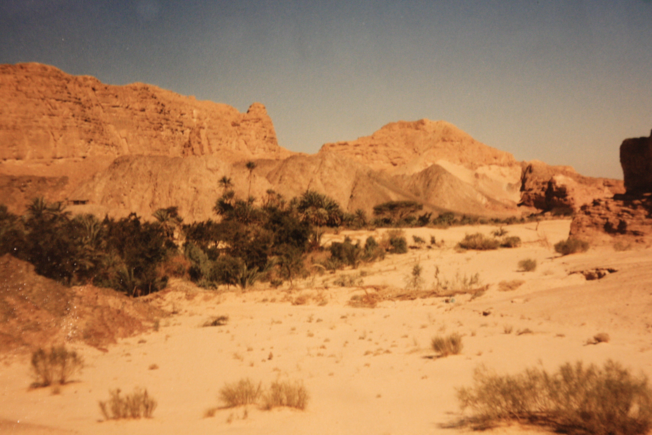 Ain Khudra Oasis - Oasis