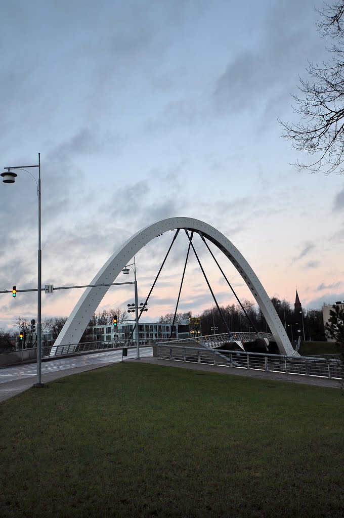 Freedom Bridge - Tartu
