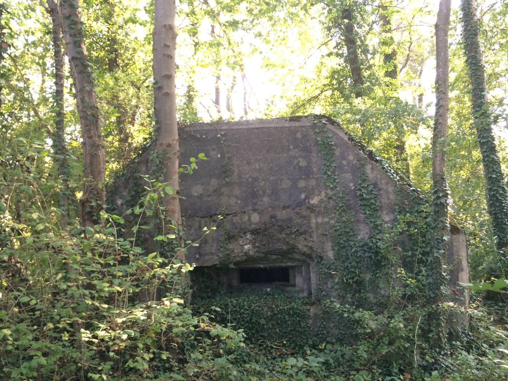 Blockhaus BIERGRUND 2