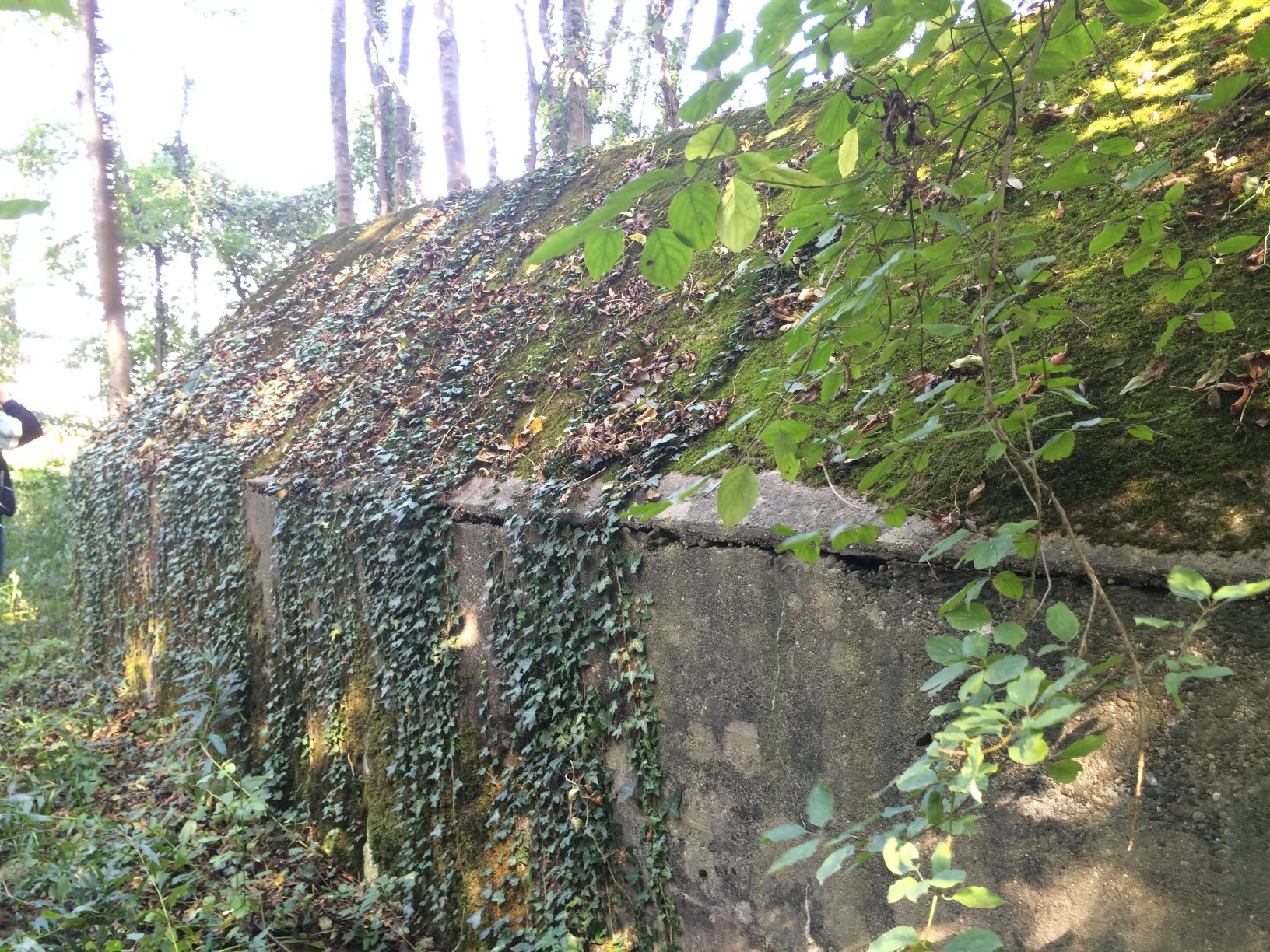 Blockhaus BIERGRUND 2