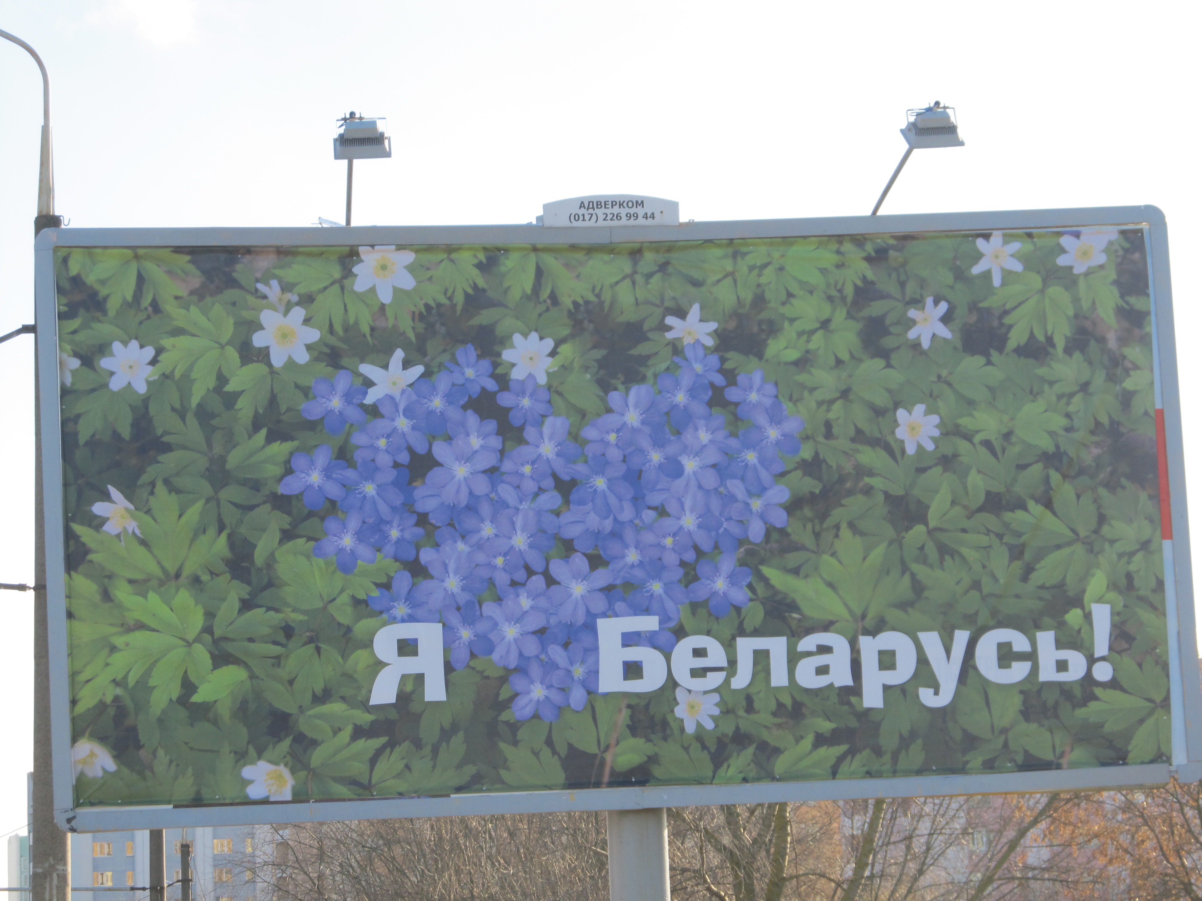 Билборд - Гомель
