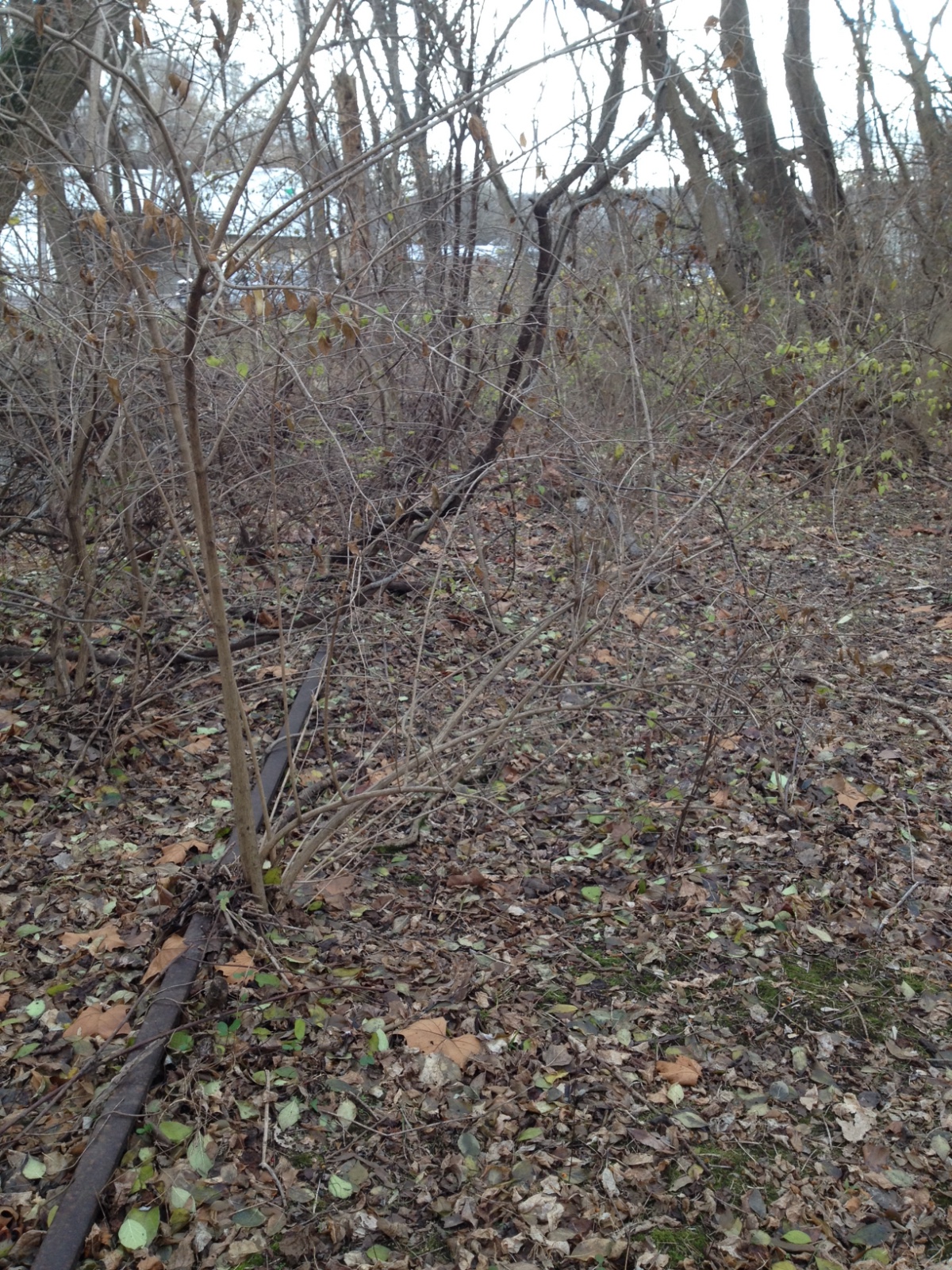 Spur/Siding of the Reading Railroad Plymouth Branch