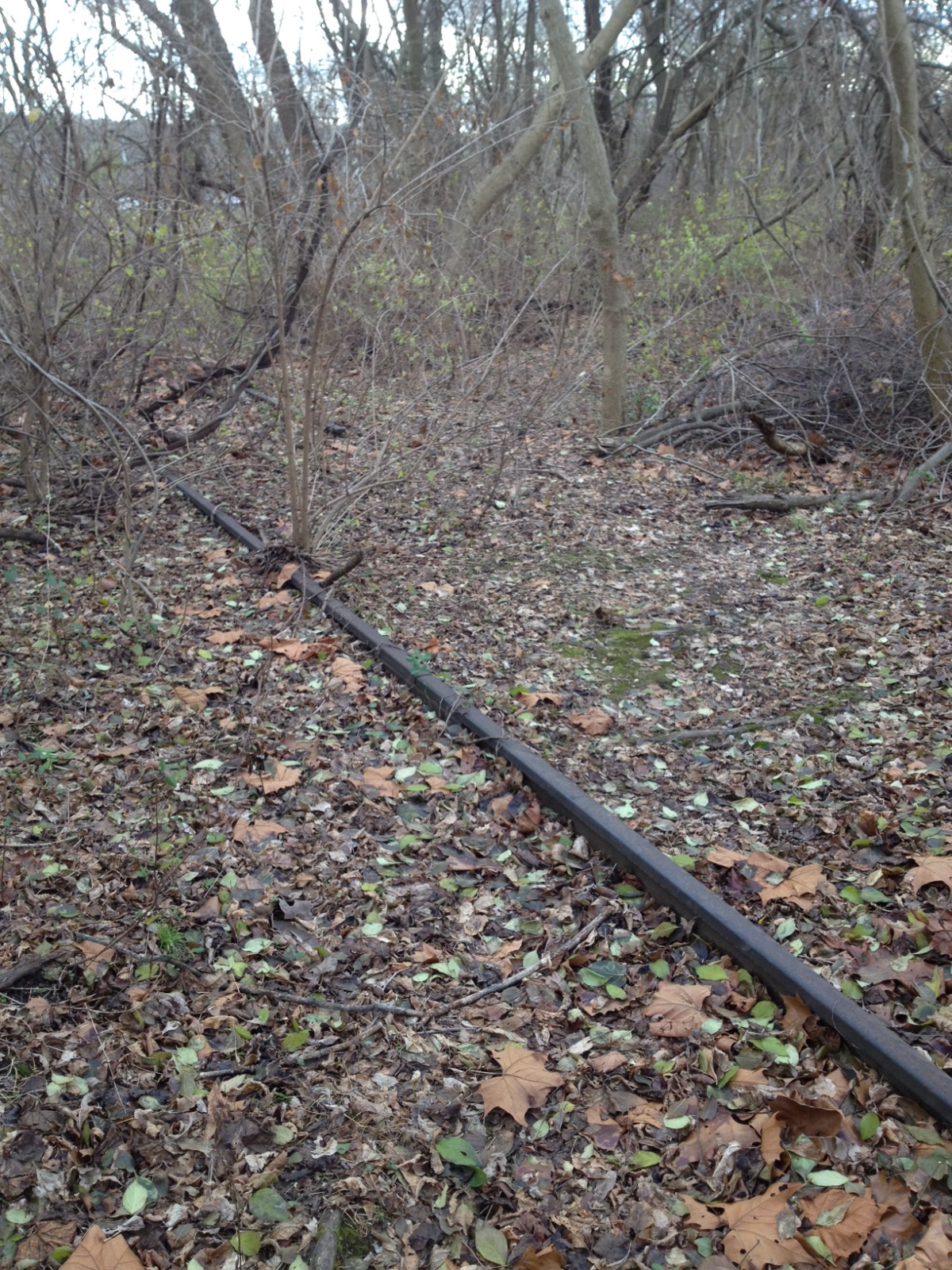 Spur/Siding of the Reading Railroad Plymouth Branch