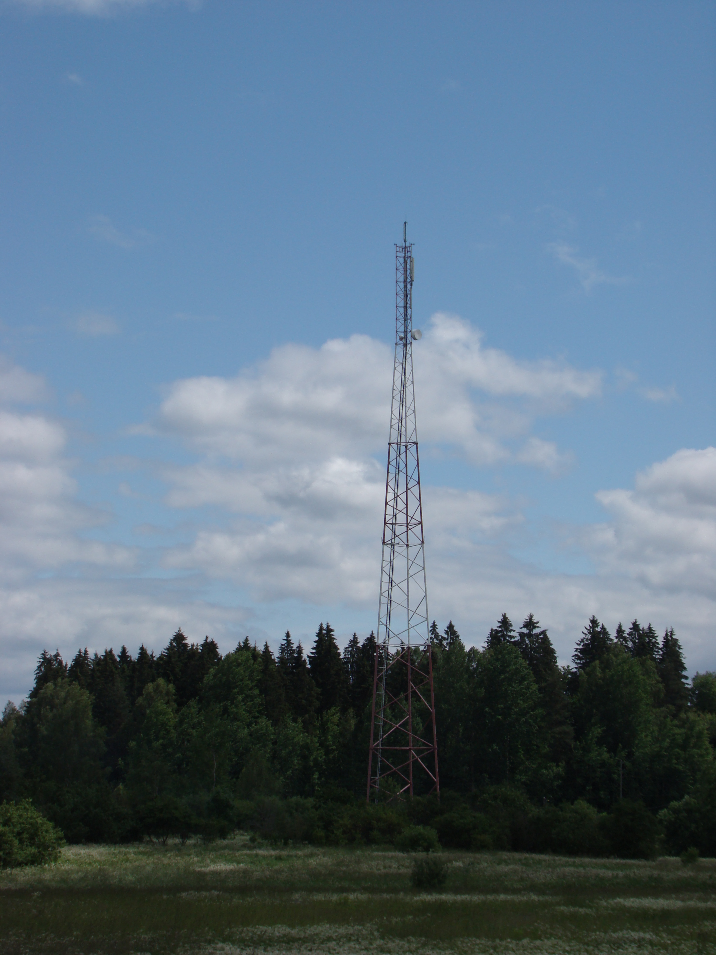 Cell tower