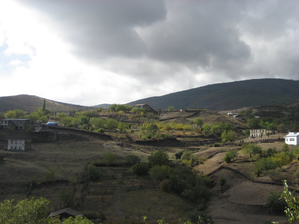 Talish