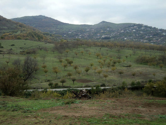 Martuni
