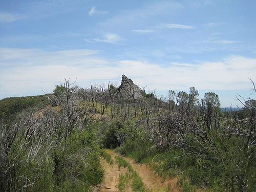 Hat Rock, Henry Coe State Park