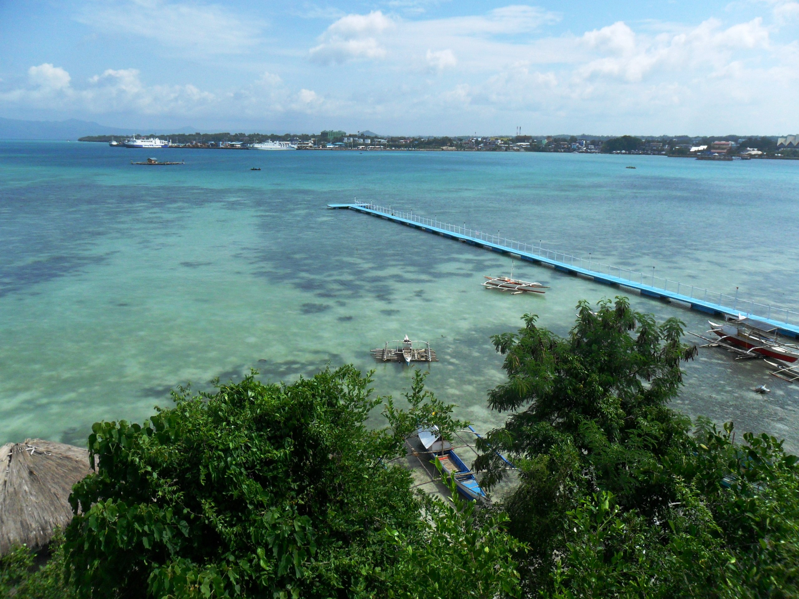 Olman's View Resort - Dauis