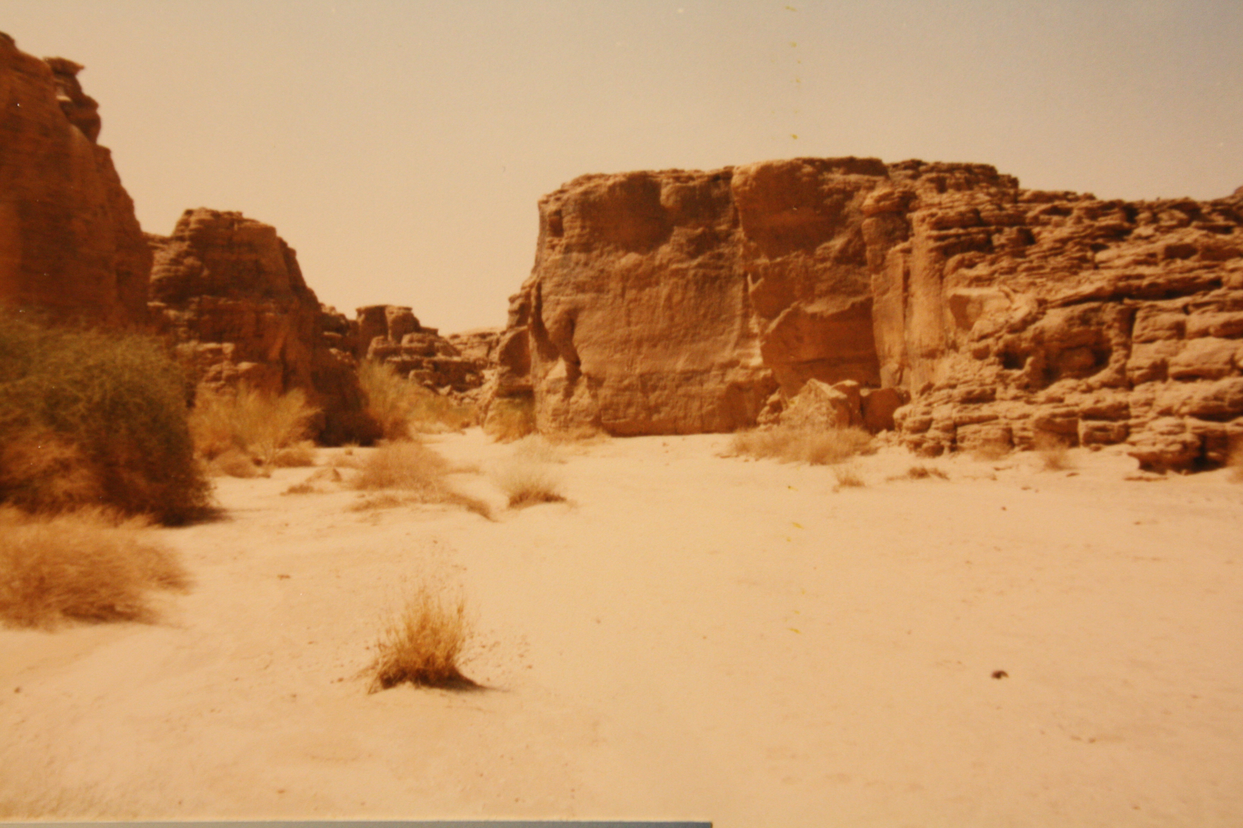 Wadi