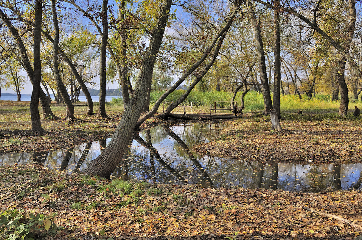 Solovinyi Hai ('Nightingale Grove')
