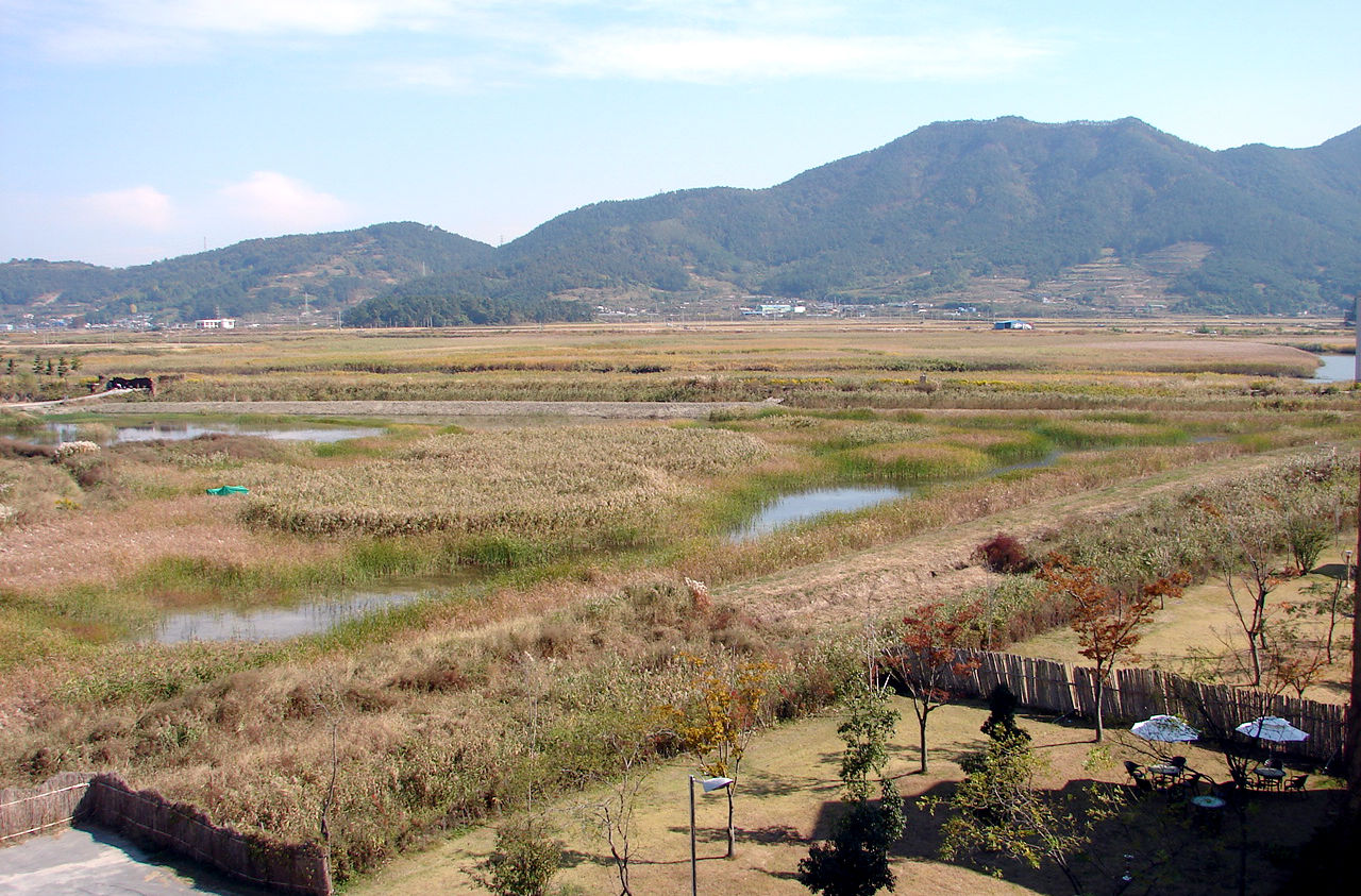 Suncheon Bay Restoration Wetland