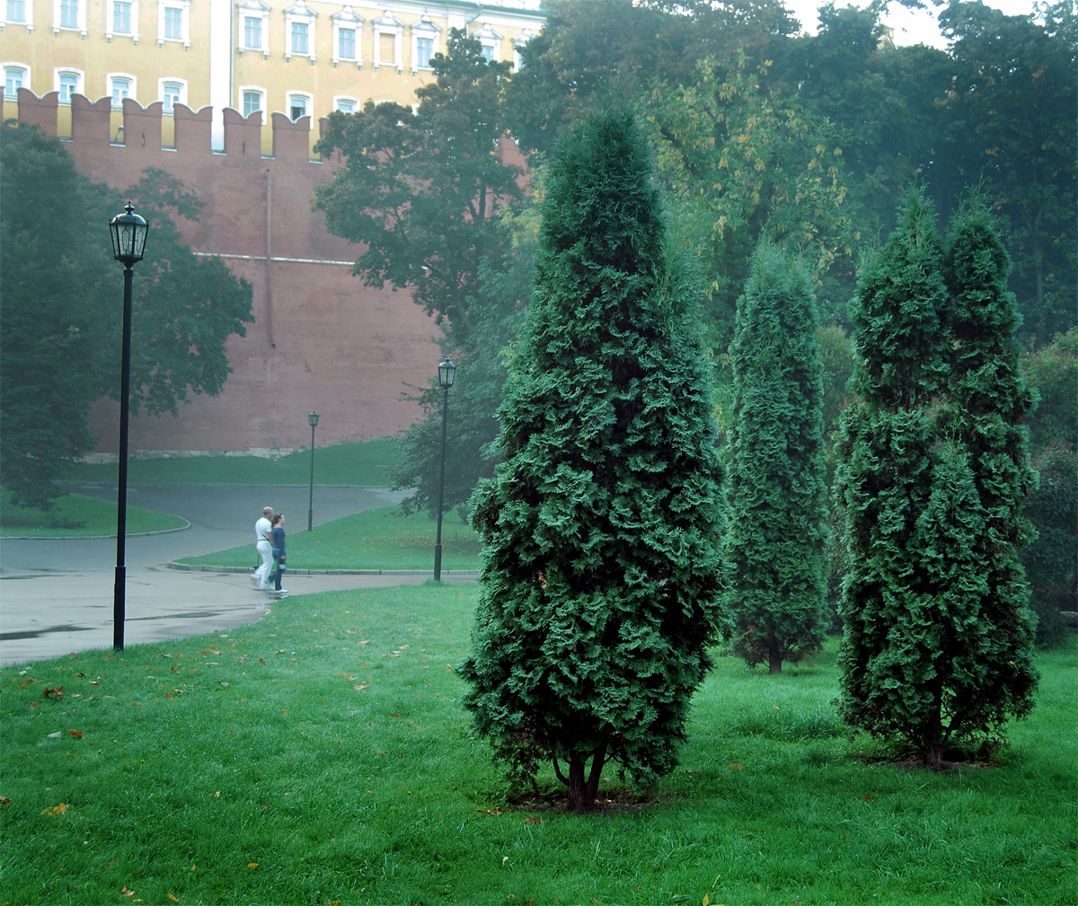 The Alexander Garden - Moscow | memorial, park, place with historical ...
