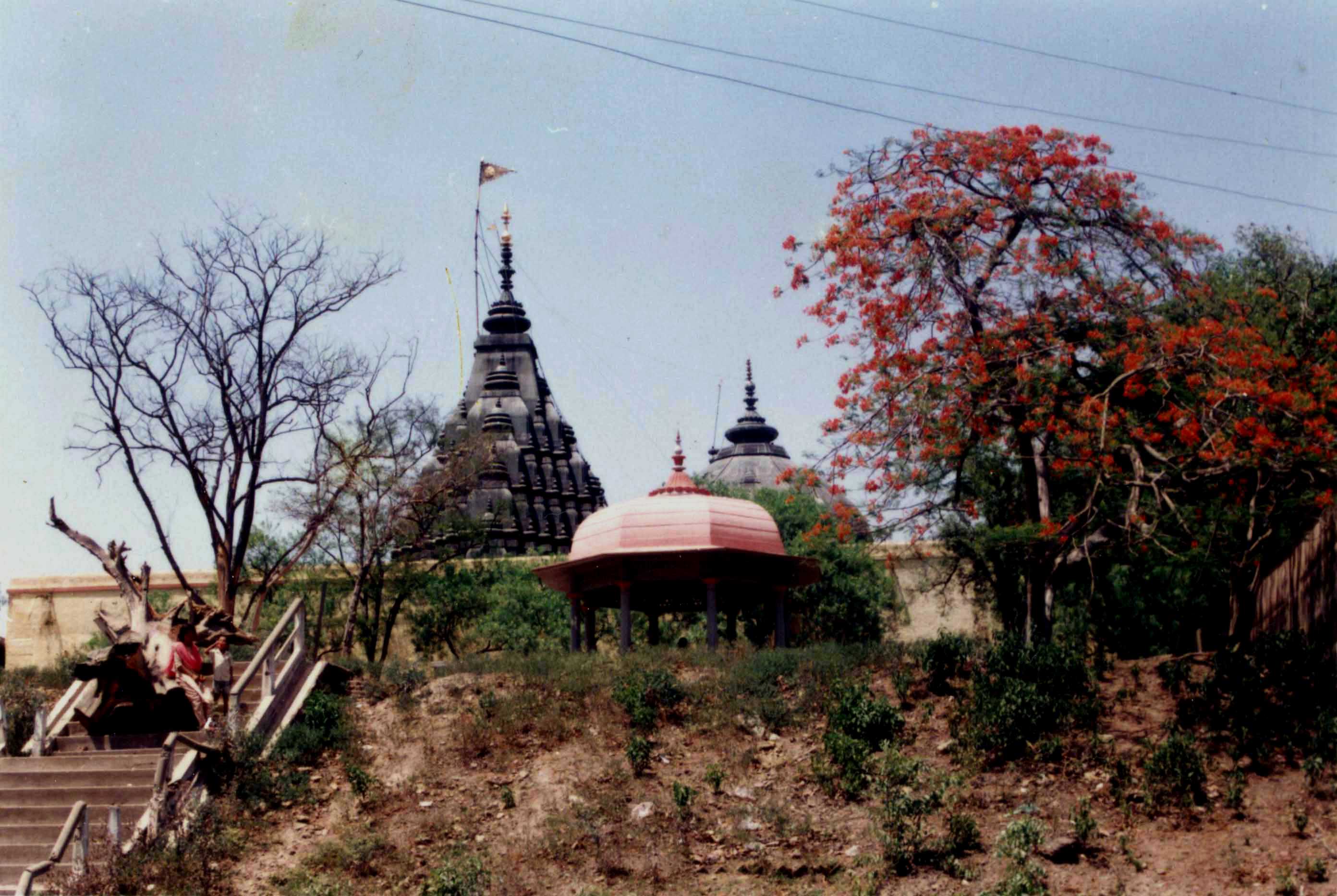 Gaya