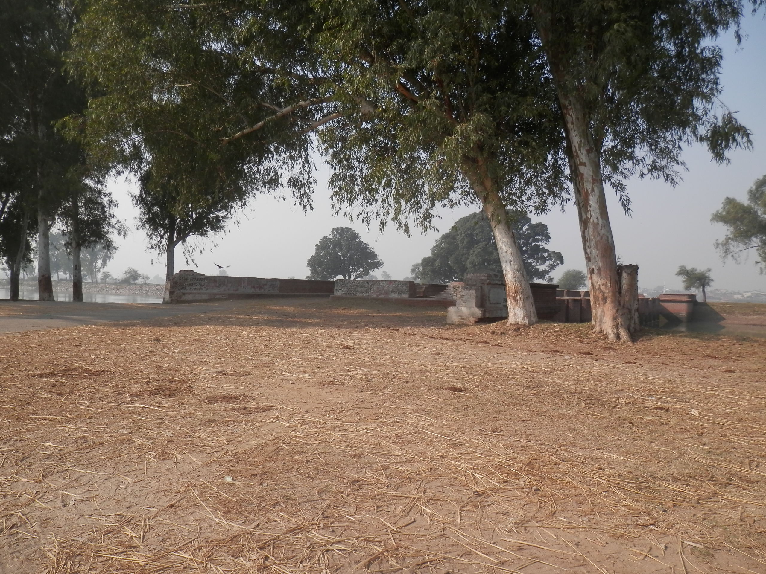 Burj Cheema