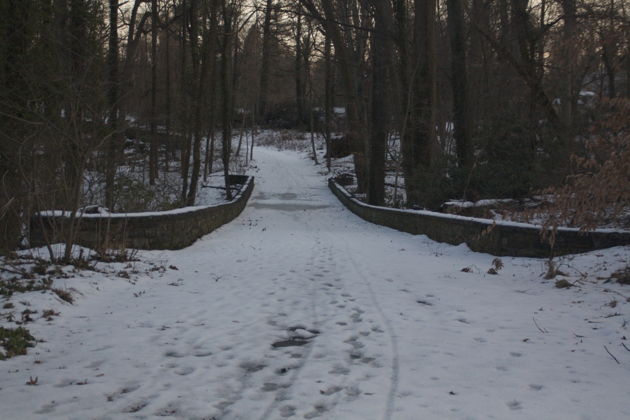 Entrance gates of Ronaele Manor Estate and Driveway