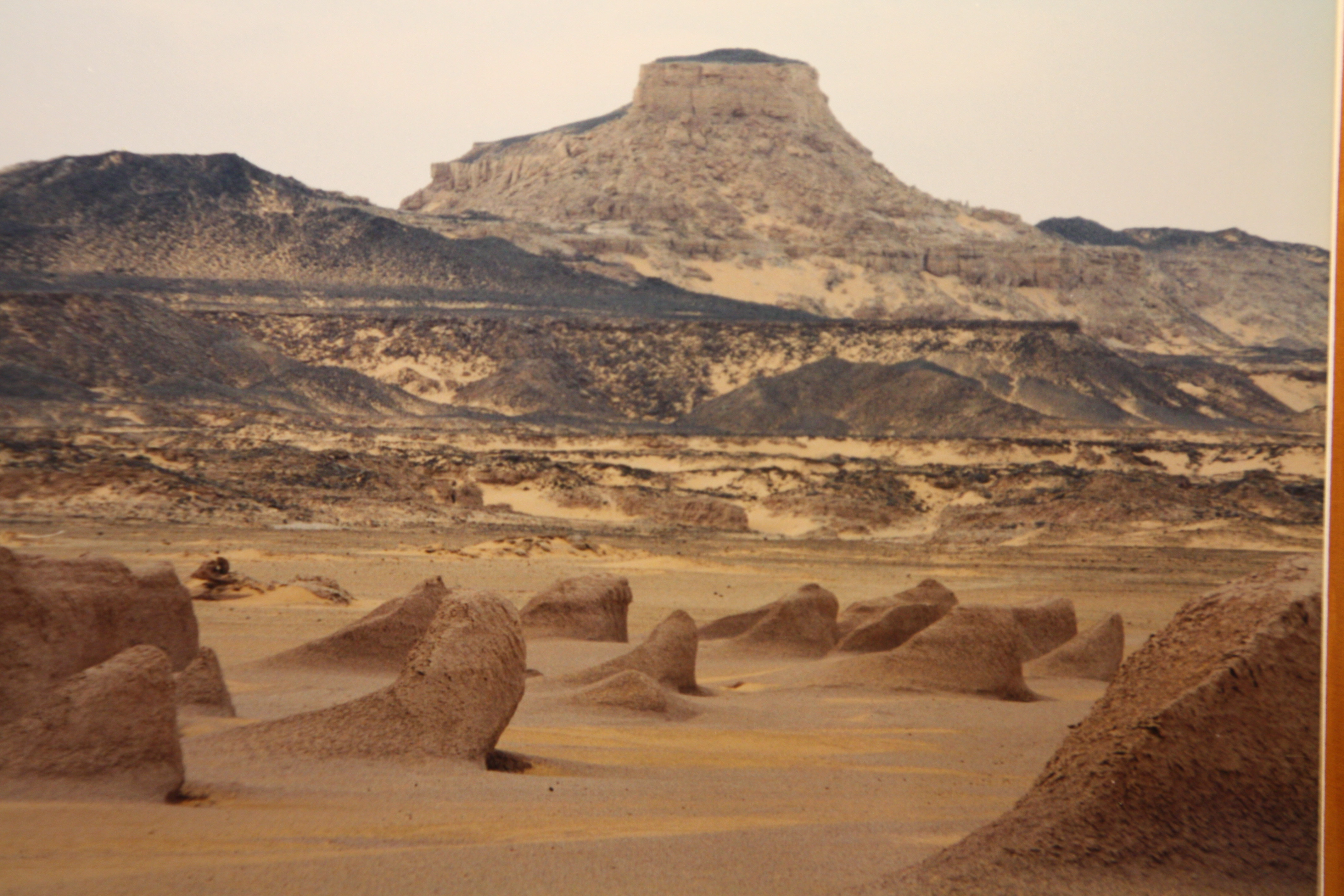 Yardang Field / Mudpans | archeological site, natural monument