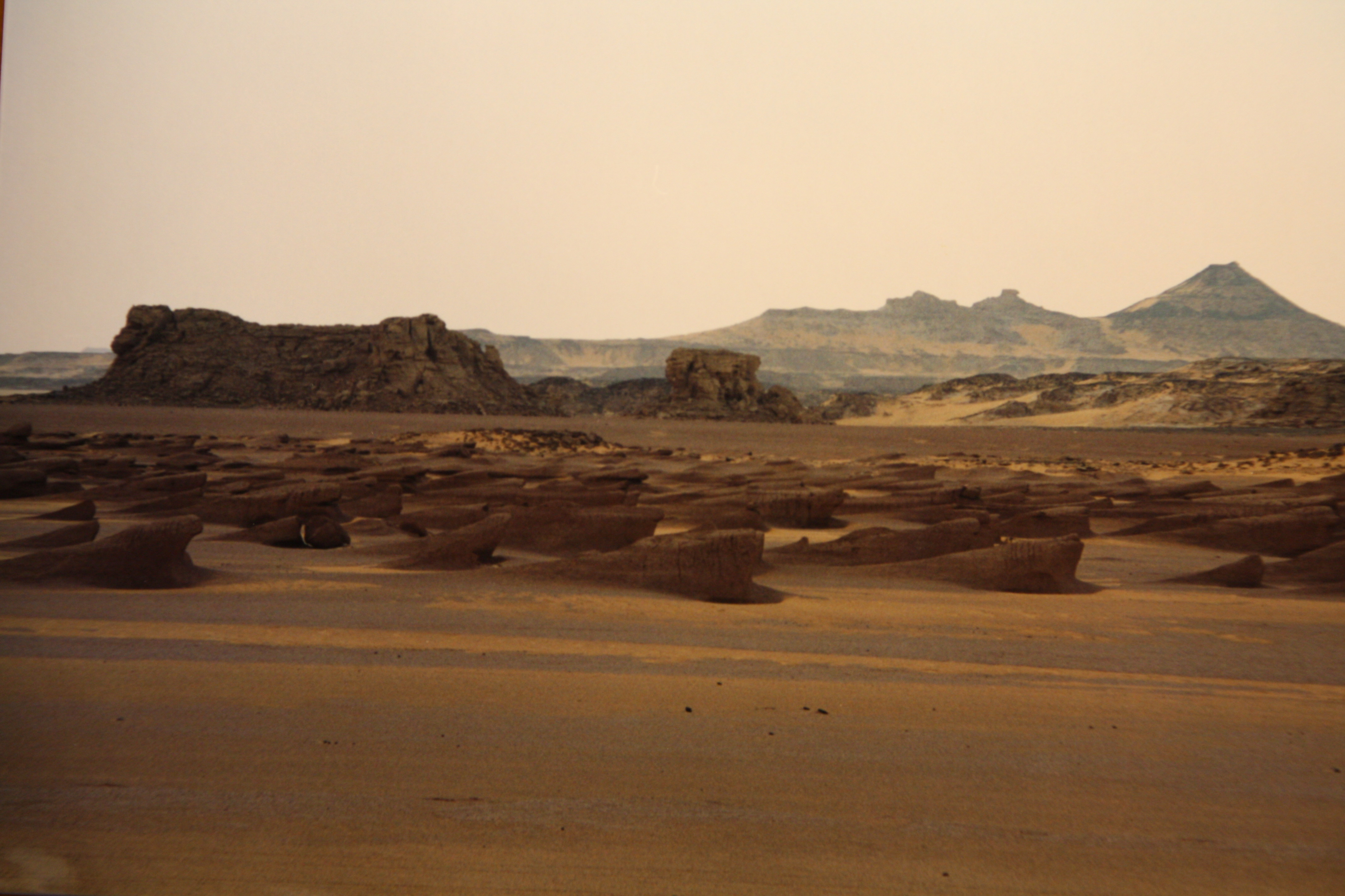 Yardang Field / Mudpans | archeological site, natural monument