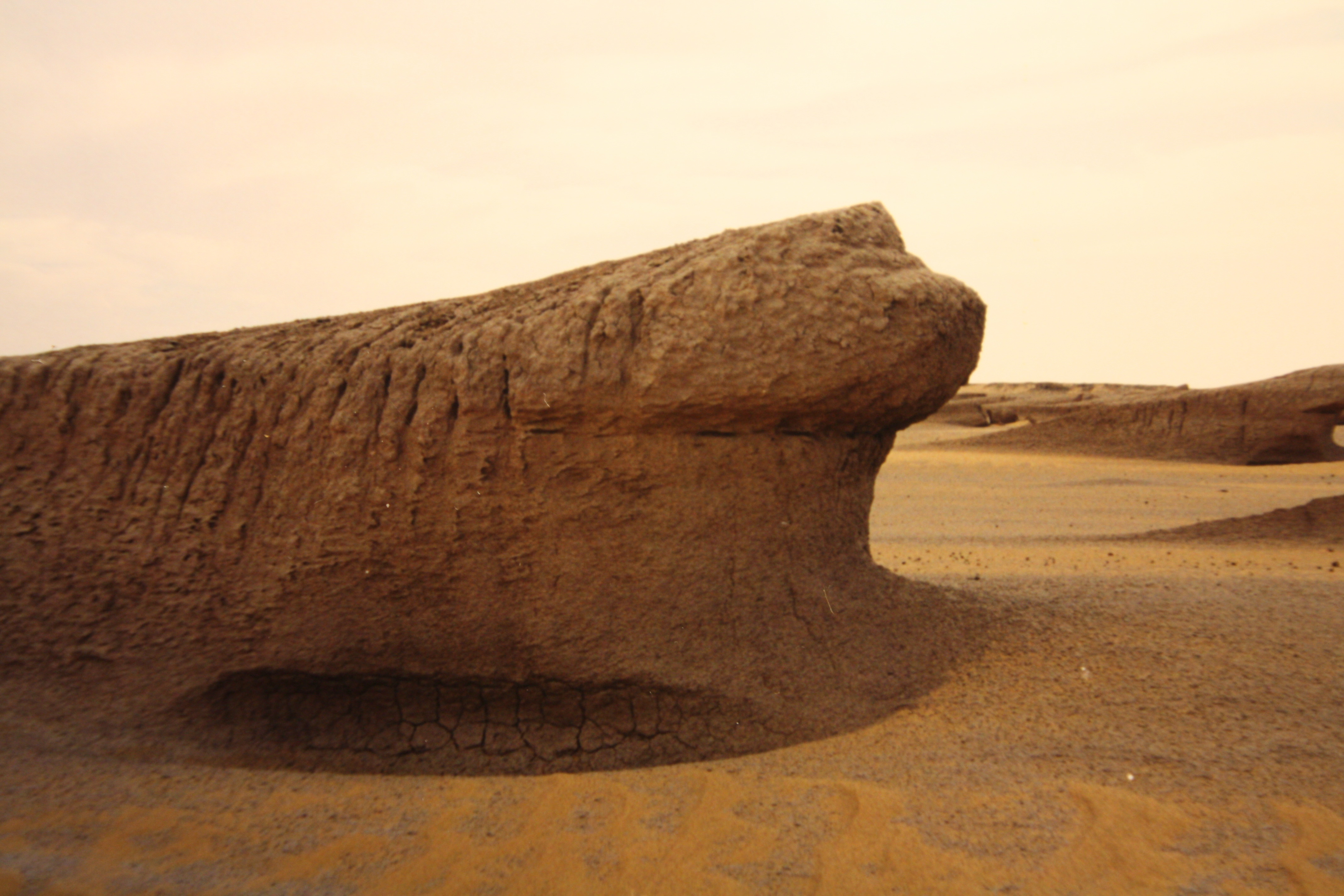 Yardang Field / Mudpans | archeological site, natural monument