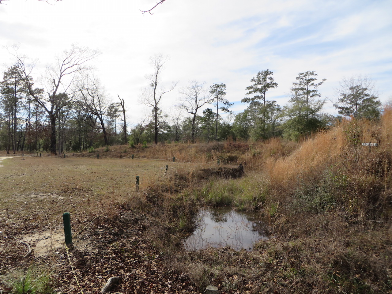 Fort Blakeley earthworks