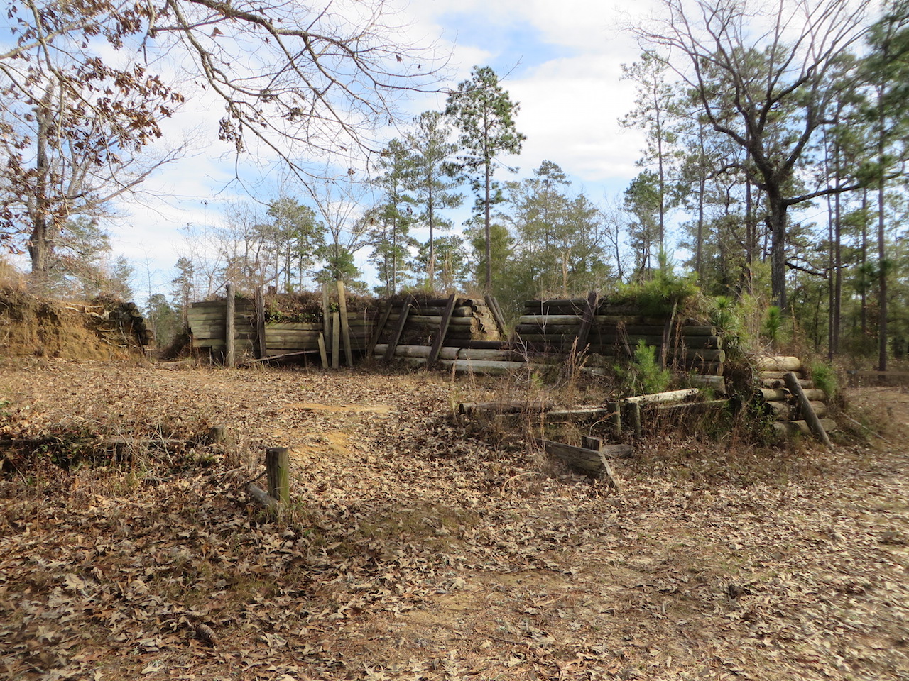 Fort Blakeley earthworks