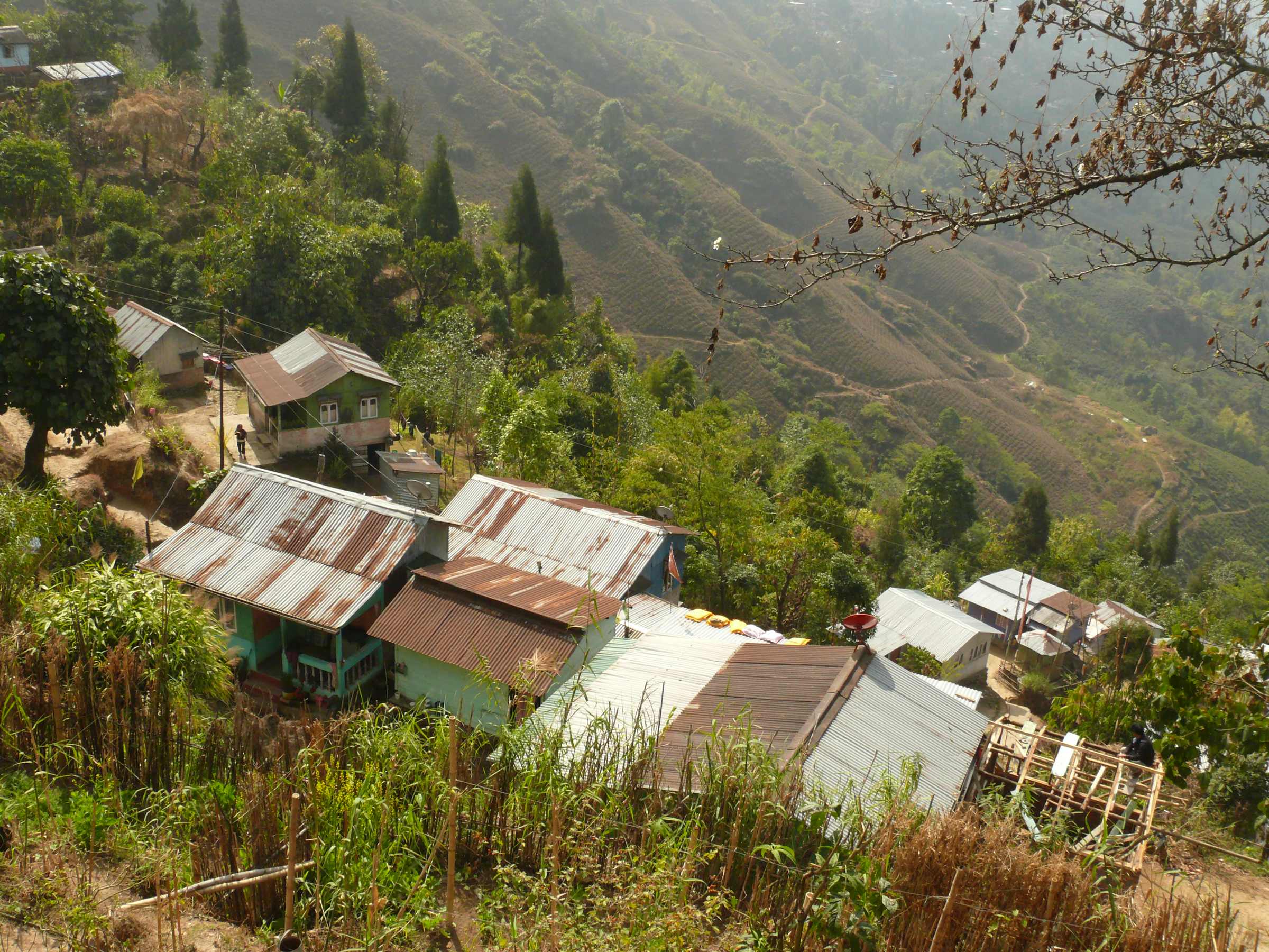 Aringle | village