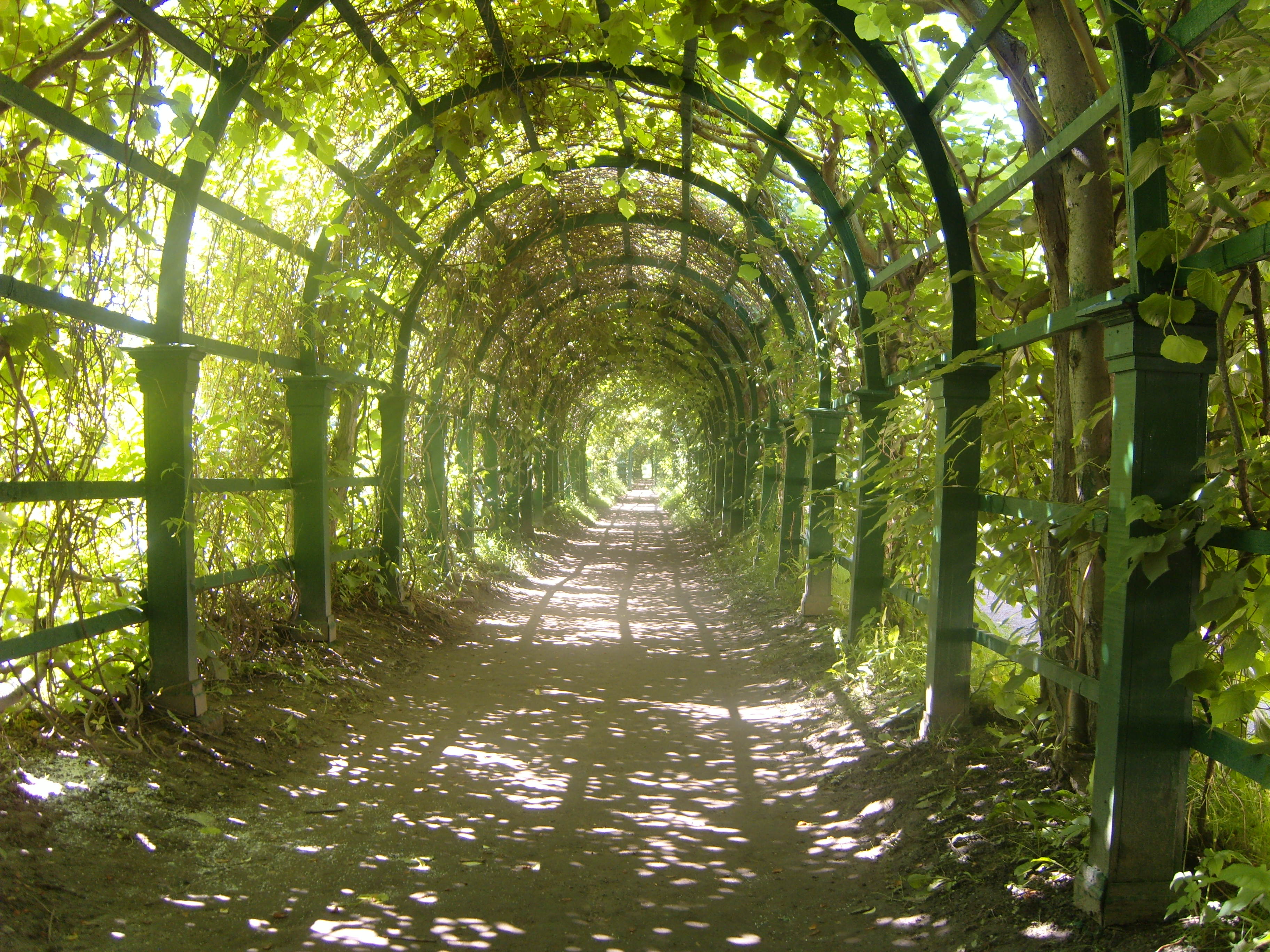 Берсо - Санкт-Петербург