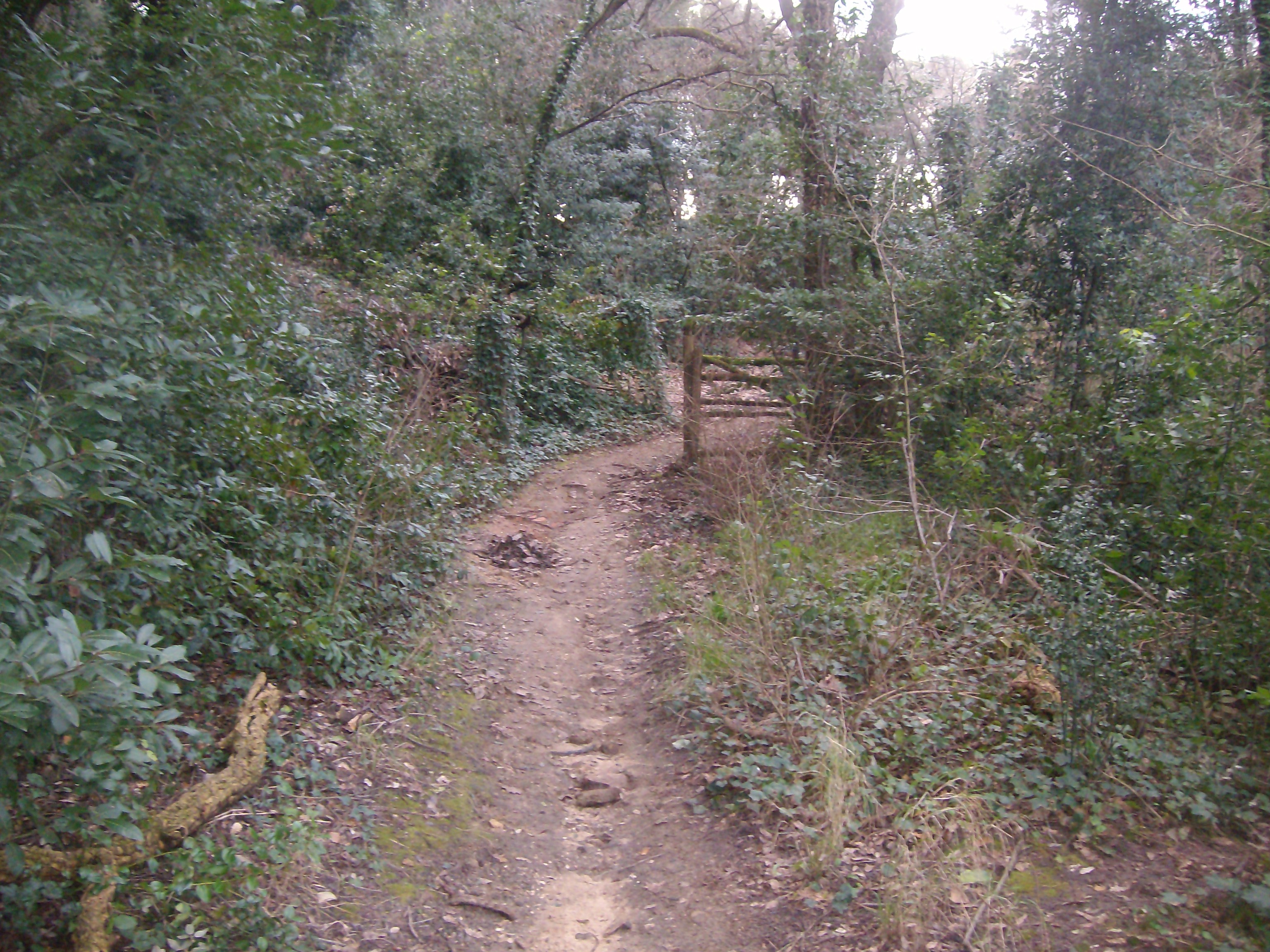 Riserva naturale di Monte Mario - Roma