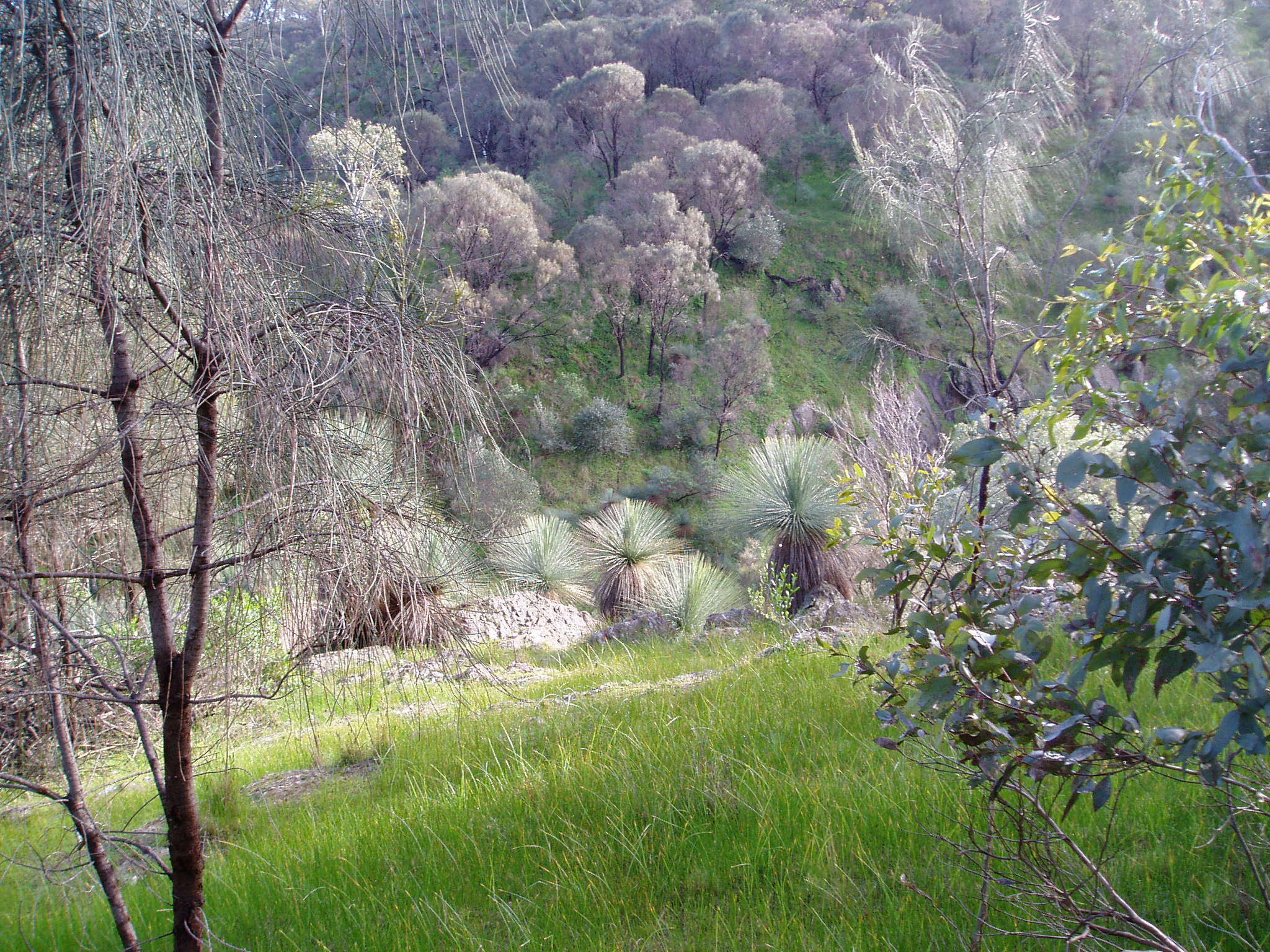 Sturt Gorge Recreation Park - Adelaide, SA Bellavista Road