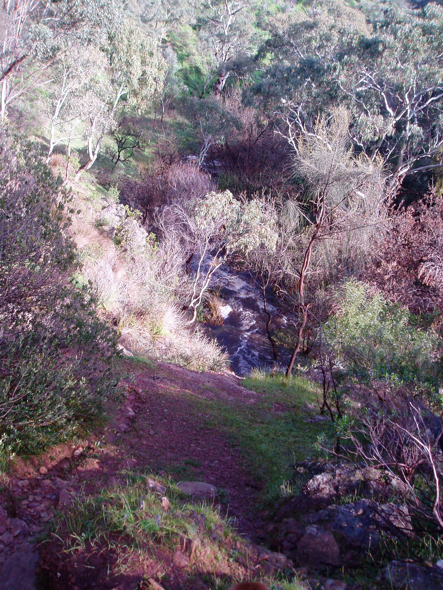 Sturt Gorge Recreation Park - Adelaide, SA Bellavista Road