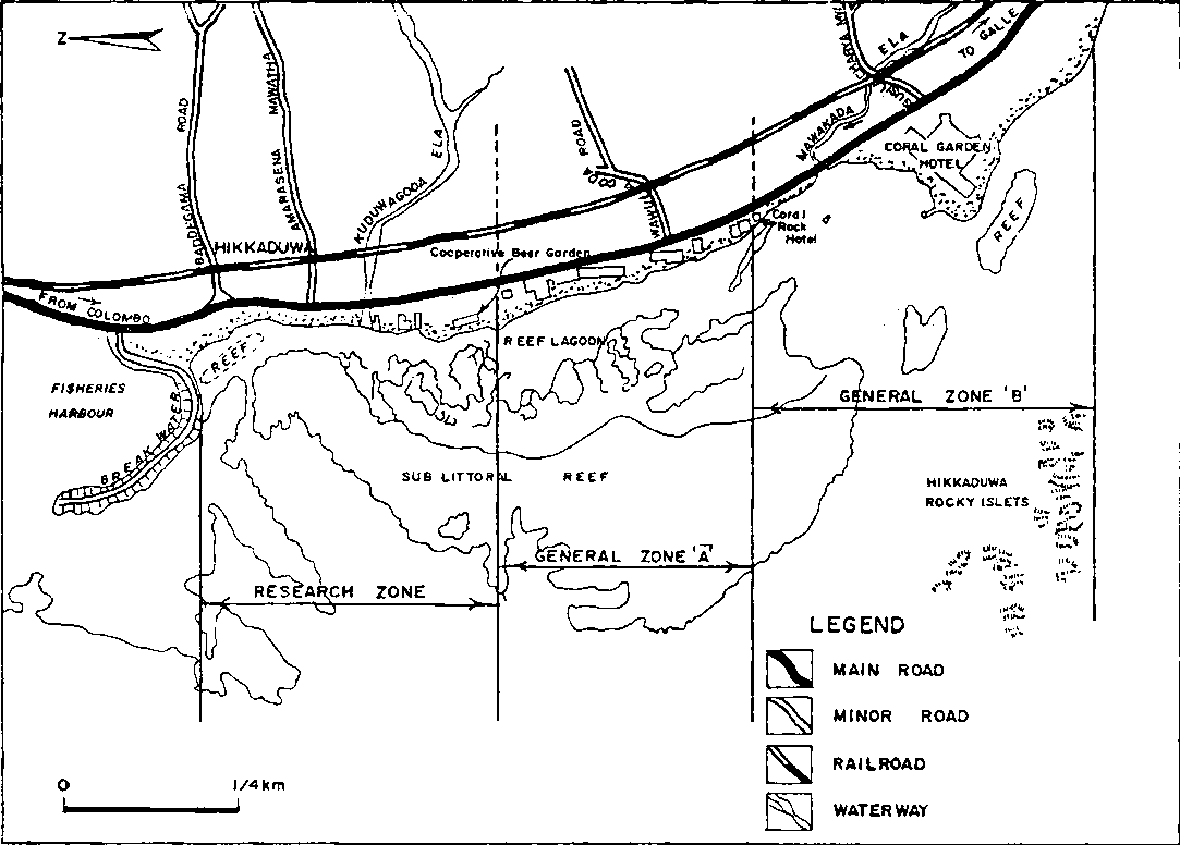 Hikkaduwa National Park | water, reef