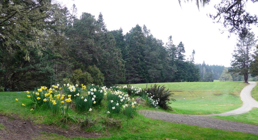 Little River Inn Golf Course