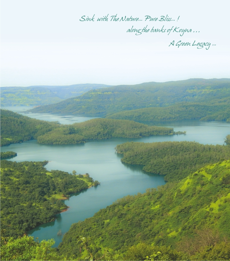 Koyana Green County, Kathi, Tal. Patan, Dist. Satara