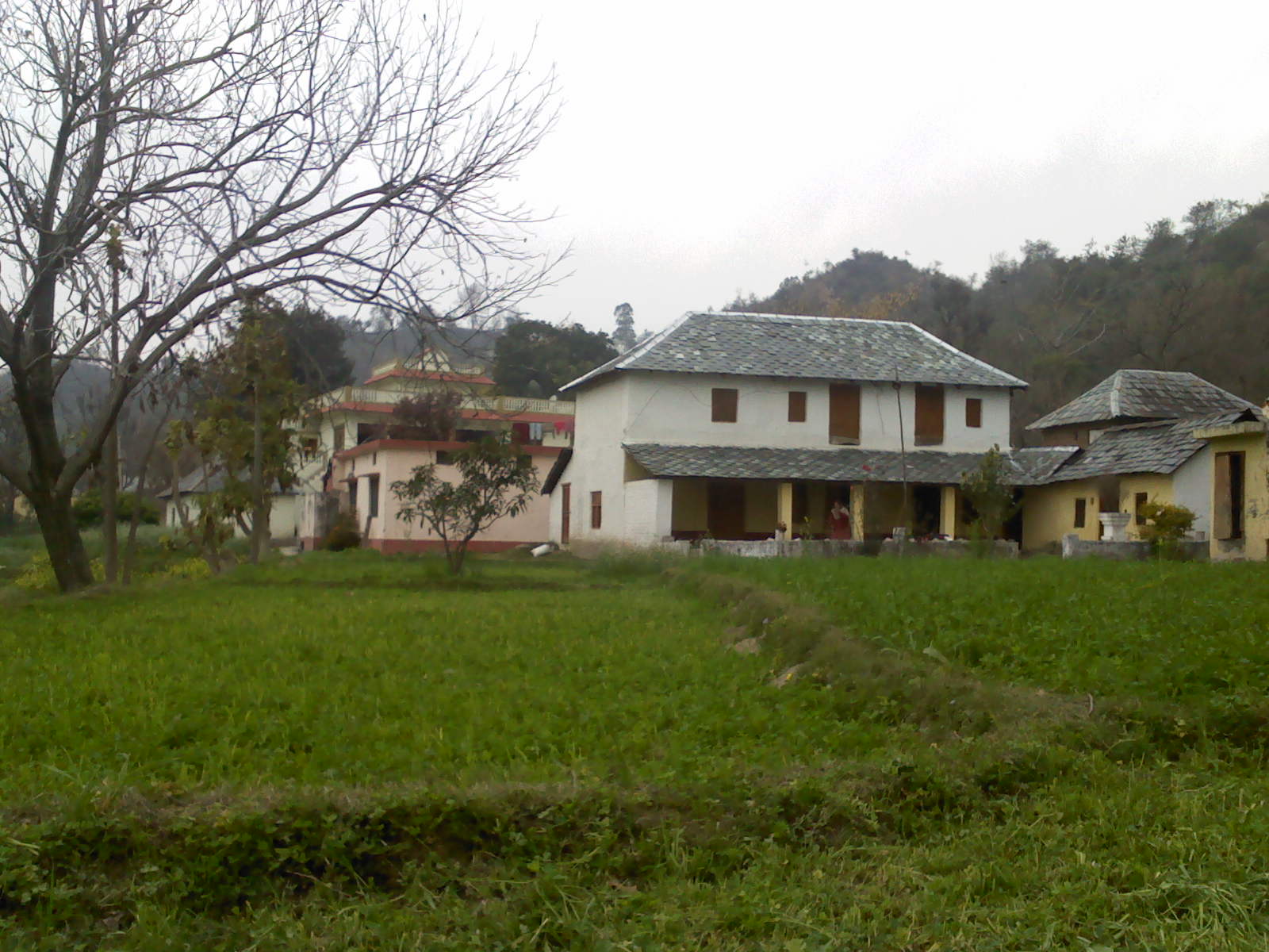 Pathania's Farm House - Baral