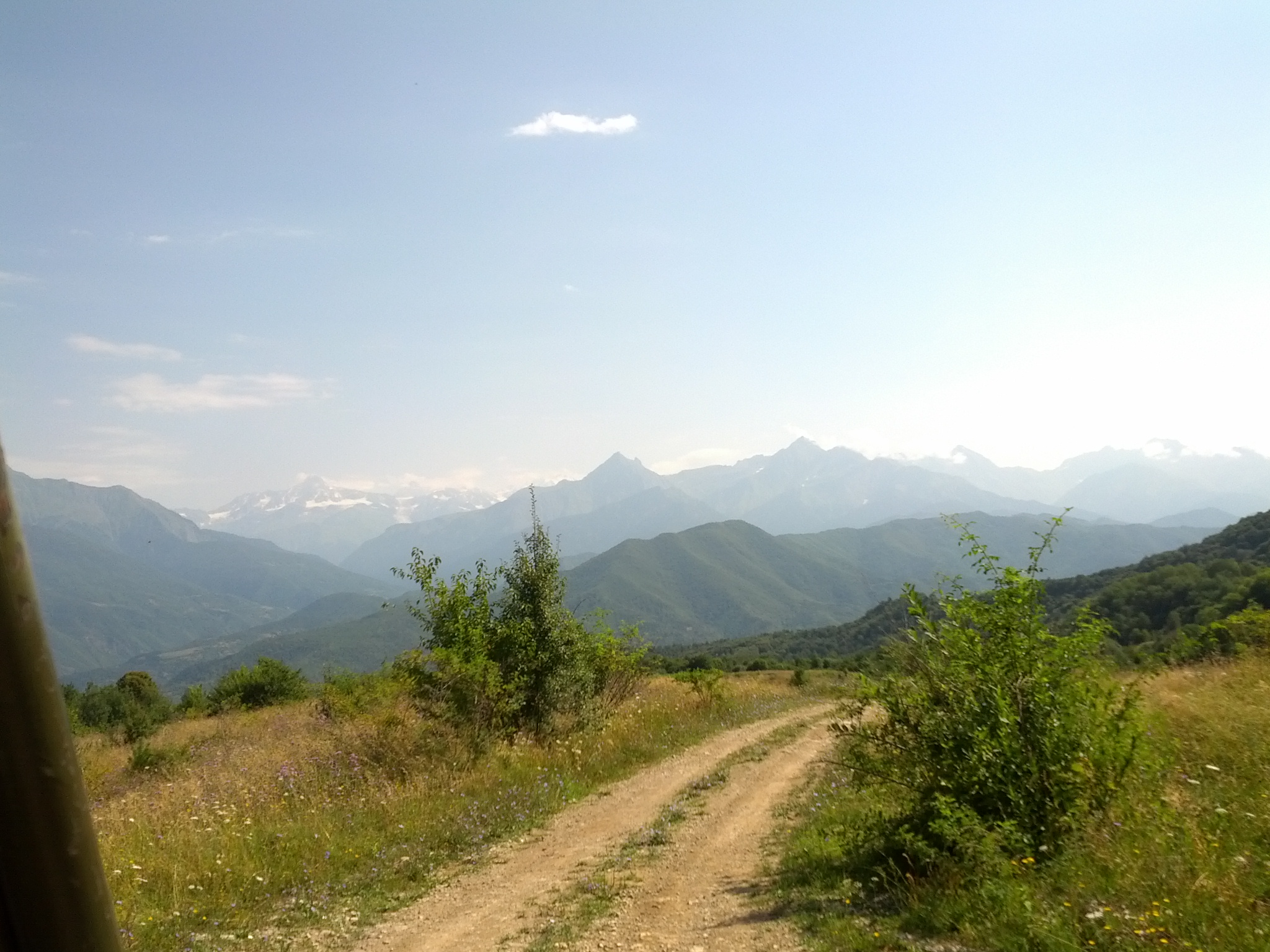 Korta