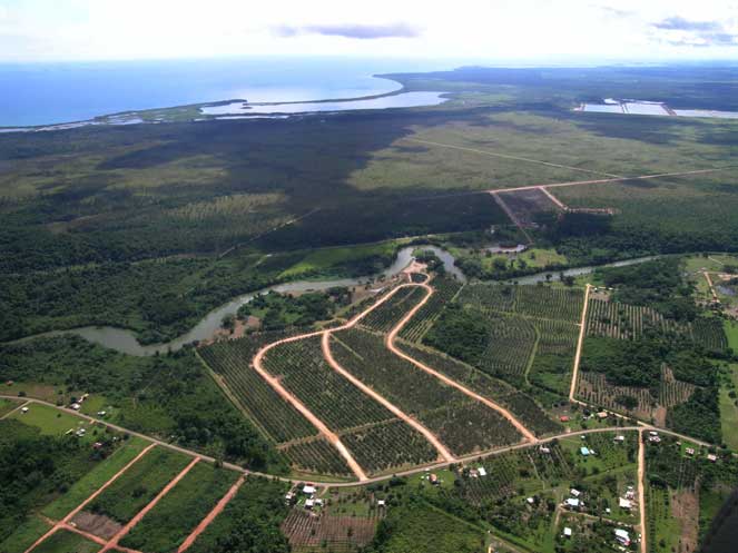 Sittee River Orchard Estates