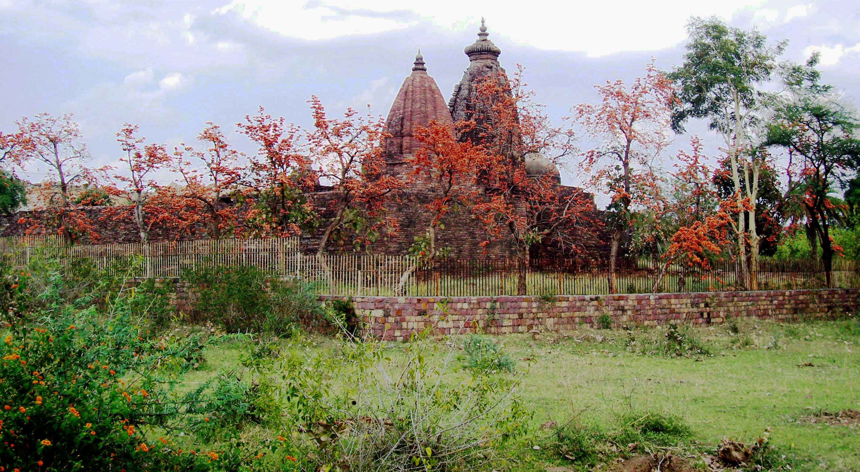 Pathari