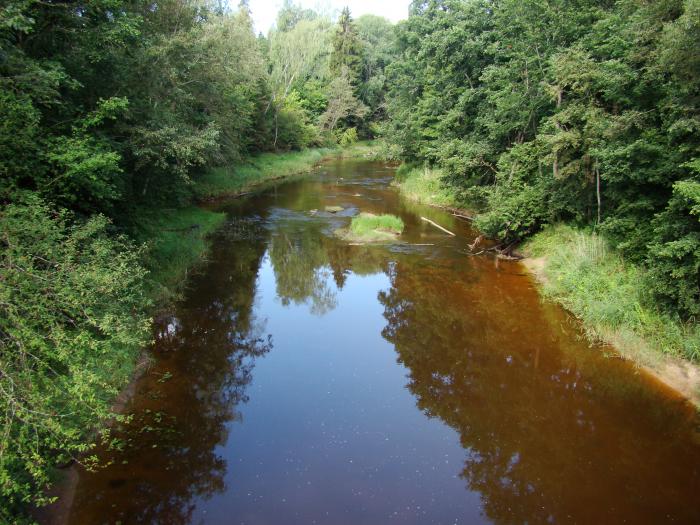 Road bridge across Ogre River