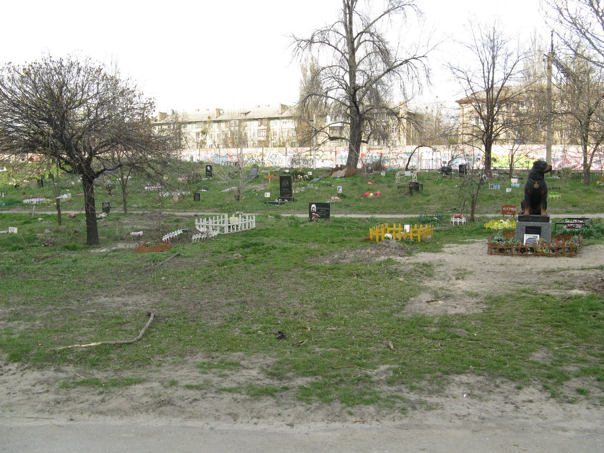 Pet cemetery - Kyiv | green area